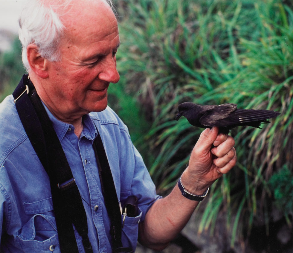 Caring for Creation Today: John Stott and God’s World - John Stott